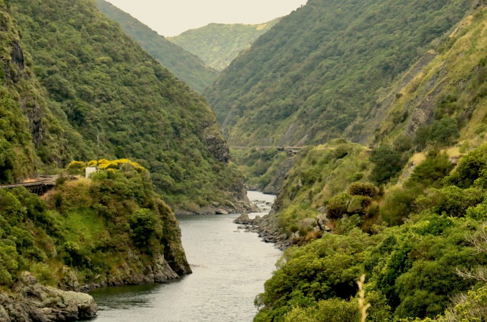 Gallery - Te Ātiawa | Ki te Upoko o te Ika a Māui Pōtiki Trust